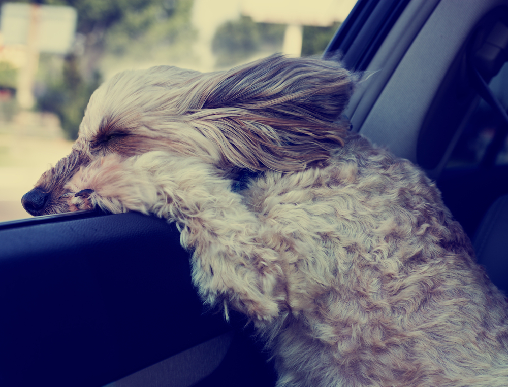 Tips For Driving In A Strong Wind